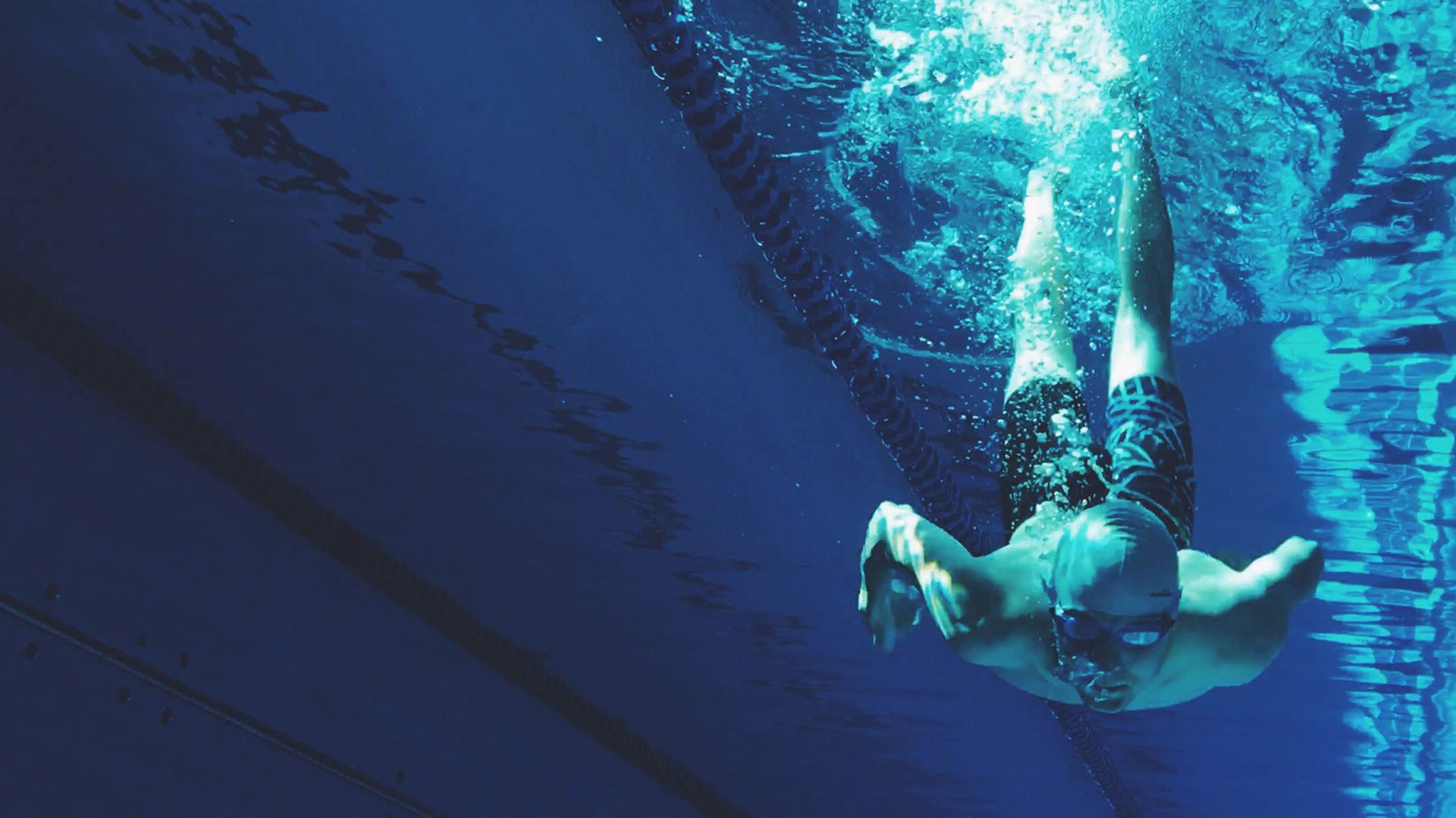 Websentry - Seresco Dehumidifiers